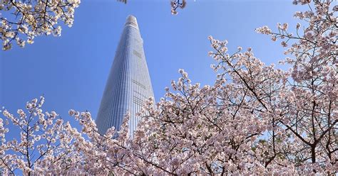 칵테일 마시며 꽃캉스시그니엘 서울 조이풀 스프링 패키지