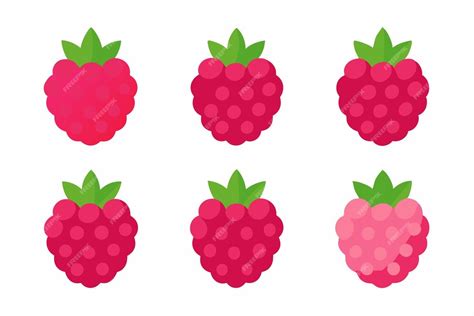 Premium Vector Raspberry Color Art Illustration Premium Vector Raspberry Color Art Illustration