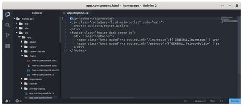 html syntax highlighting is not displayed · issue 1879 · onivim oni2