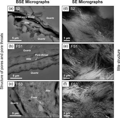 Comparison Of The Microstructure Of The Samples Before And After The Download Scientific