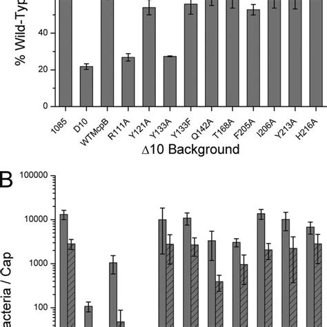 Swarm Plate And Capillary Assay Results A Swarm Plates Results For