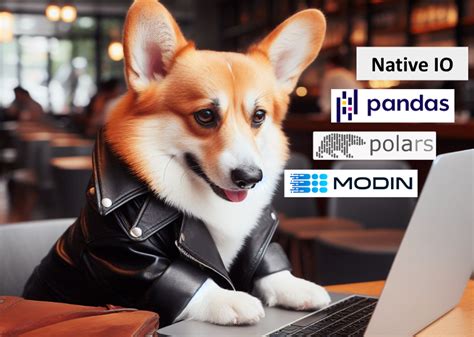 Performance Analysis Read In Write Out With Native Io Pandas Polars