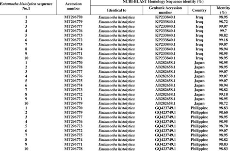 The Ncbi Blast Homology Sequence Identity Between Local Entamoeba Download Scientific