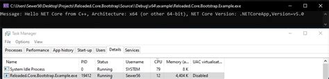 Hostfxr Windows High CPU Usage On Background Thread After Invoking