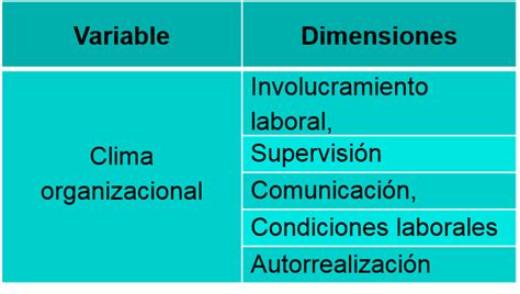 Cómo Identificar Y Definir Las Dimensiones De Las Variables