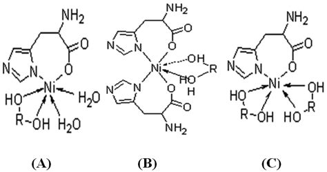 Possible Structural Formulae Of Ternary Complexes Of Nickel Ii With Download Scientific