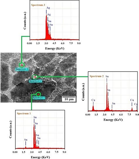 Representative Sem Image And The Corresponding Eds Spectra Of The Base