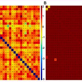 Schematic Visualization Of Regions Of Interest In Default Mode Network Download Scientific