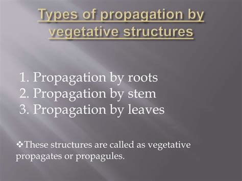 Propagation By Vegetative Structures Ppt