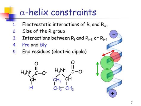 Ppt Protein Structures Powerpoint Presentation Free Download Id
