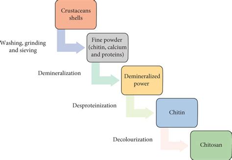 Extraction Procedures For Chitin And Chitosan Download Scientific
