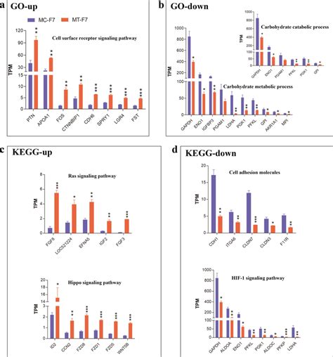 Functional Enrichment Analysis Of Differentially Expressed Genes In Download Scientific Diagram