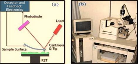 A Principle Of Afm B Image Of Afm Device Download Scientific Diagram