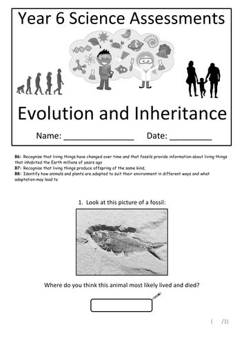 Year 6 Science Assessment Evolution And Inheritance Teaching Resources