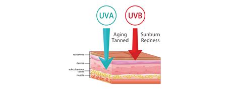 What Is Spf Uva Uvb At Calvin Hartnett Blog