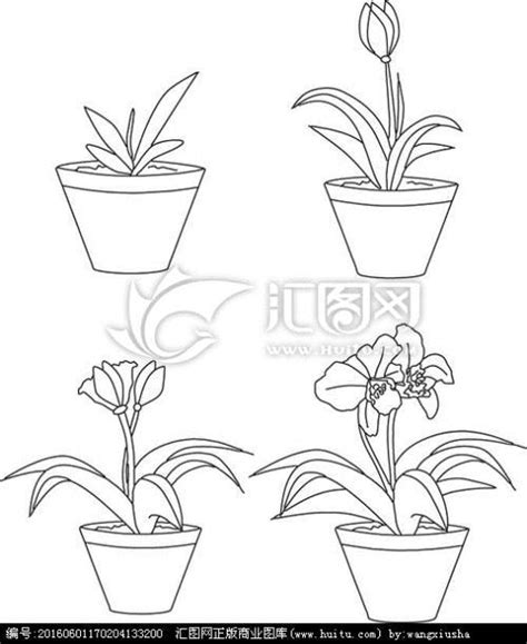 茁壮成长的植物简笔画 简笔画图片大全 蒲城教育文学网