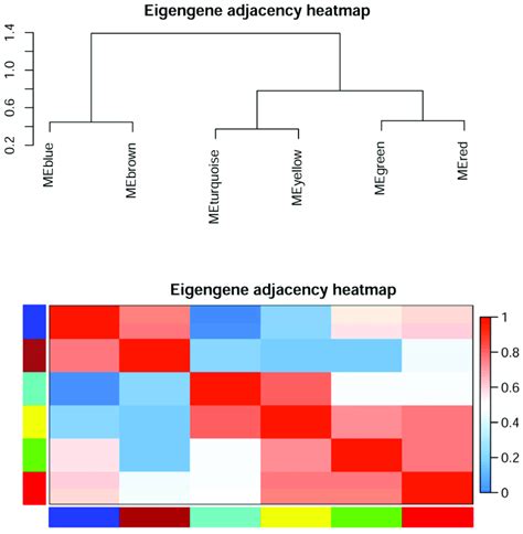 Module Correlation Plot Of Weighted Gene Co Expression Network