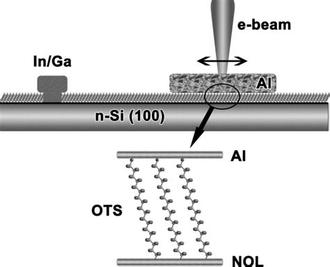 Electron Beam Induced Alteration Of The Dielectric Properties Of Sandwiched Self Assembled