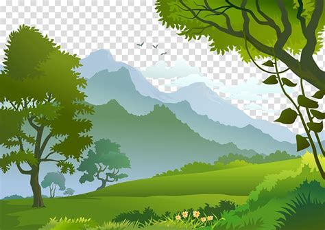 Forest Pictures And Clipart