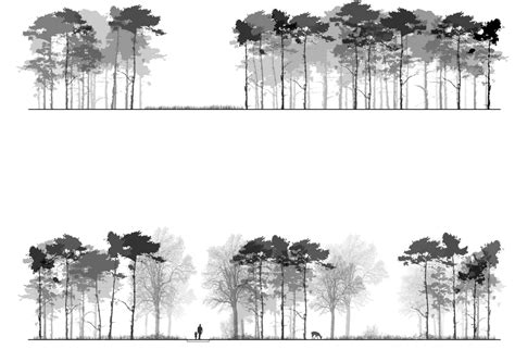 Pin By Stitch On Section Landscape Architecture Graphics Architecture Collage Architecture