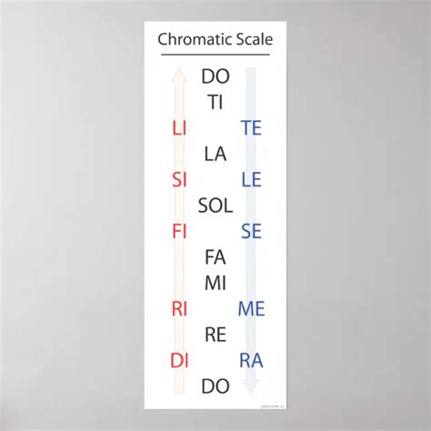 Chromatic Scale Solfege Banner Poster Zazzle