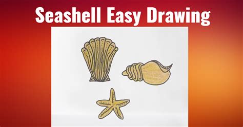 Learning Easier Seashell Easy Drawing