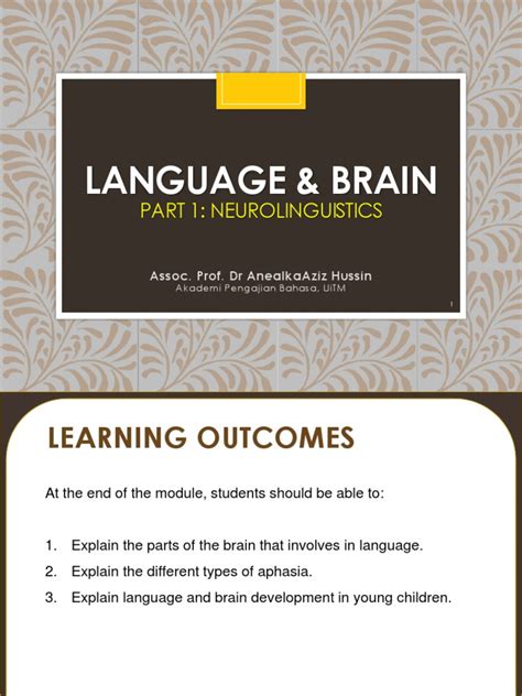 als426 chapter 10 language and brain neurolinguistics 2 pdf aphasia