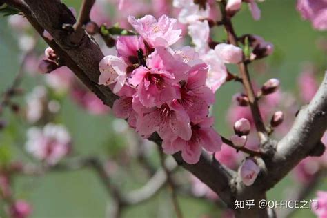 确定每次加载的模型参数和数据一样，为什么同一个模型，同一个数据，测试结果每次都不一样，且差异很大？ 知乎