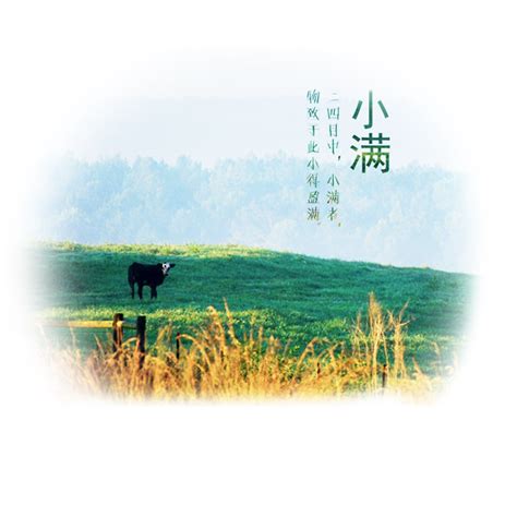 小满图册 360百科