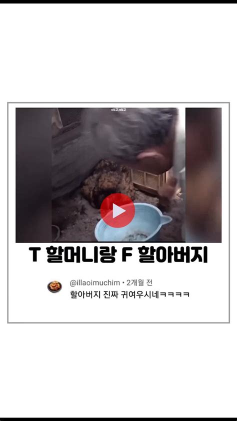 T 할머니 랑 F 할아버지 포텐 터짐 최신순 에펨코리아