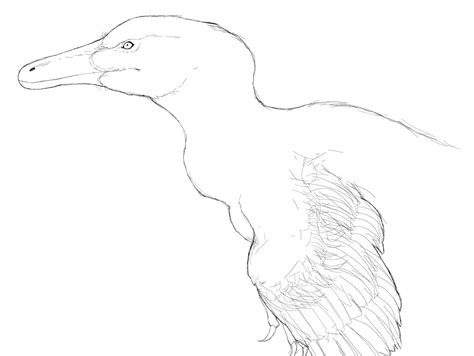 Austroraptor Art Request By Aphesium On Deviantart