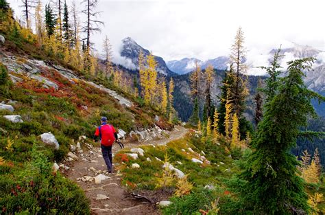 Pacific Northwest Seasons Northwest Fall Hiking Golden Larches On The