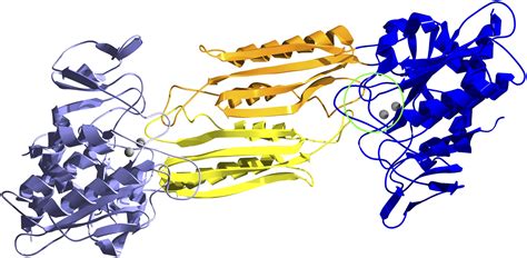 Journal Club Quantification And Functional Analysis Of Modular Protein
