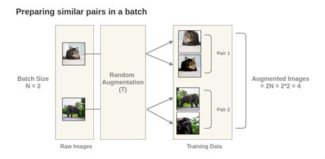 Simclr Notes Weights And Biases