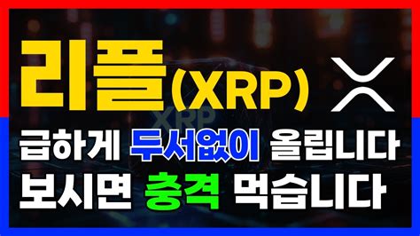 리플코인 엑스알피 Xrp 급하게 두서 없이 올립니다 보시면 충격 먹습니다 Youtube