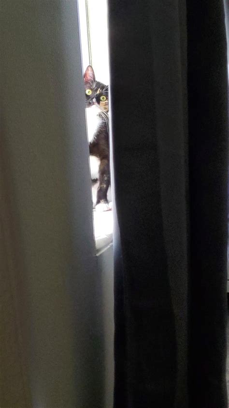 I Might Be A Tiny Bit Obsessed With Her Rtortico