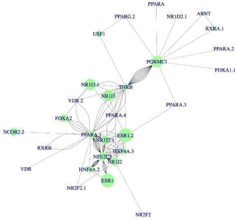 Key Transcription Factors And Their Interactions Affecting Cyp3a4 Download Scientific Diagram