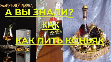 Из какой посуды пьют коньяк и чем закусывать. Рюмки для алкогольного ...