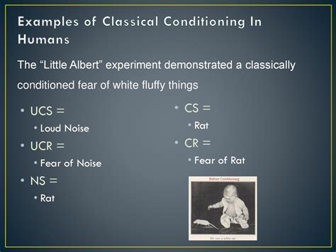 Unit 5 Learning Classical Conditioning Operant Conditioning Ppt Download