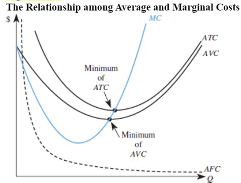 [solved] Explain Why The Mc Curve Cuts The Atc And Avc Curve At Its Course Hero