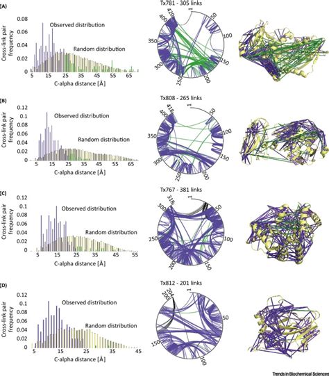 Cross Linkingmass Spectrometry Data Used In Critical Assessment Of Download Scientific Diagram