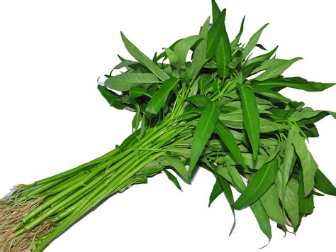 Kangkong Ban Huat Fruits And Vegetables Sdn Bhd