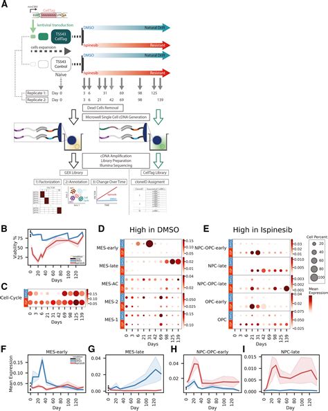 Multiplexed Single Cell Lineage Tracing Of Mitotic Kinesin Inhibitor
