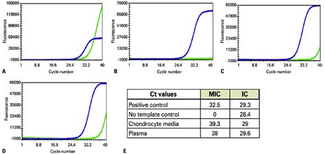 Real Time Polymerase Chain Reaction For Mycoplasma Pneumoniae From The Download Scientific