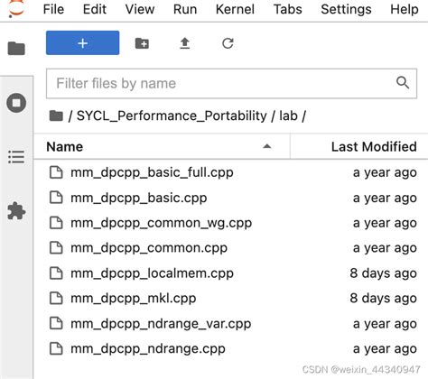 Oneapi并行编程实践 Csdn博客