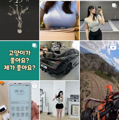 피드에 아반떼 자주 보여서 좋네 자동차 에펨코리아