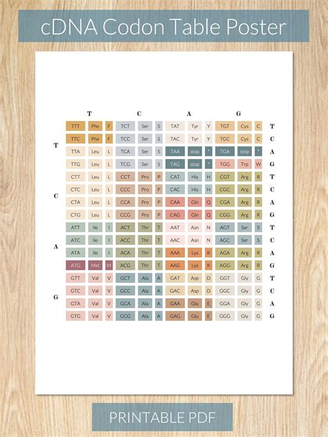 Dna Codon Table Printable Poster Etsy Posters Printable Printables Dna
