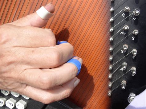 Autoharp Royalty Free Images Stock Photos Pictures Shutterstock