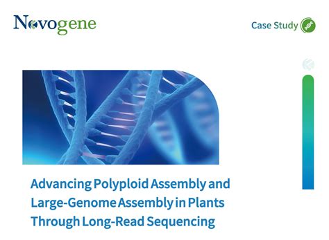 Advancing Polyploid Assembly And Large Genome Assembly In Plants Through Long Read Sequencing