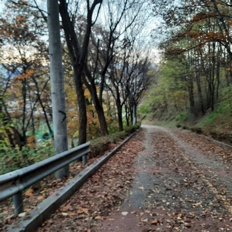 곱게 물든 단풍 산행 뉴스트림